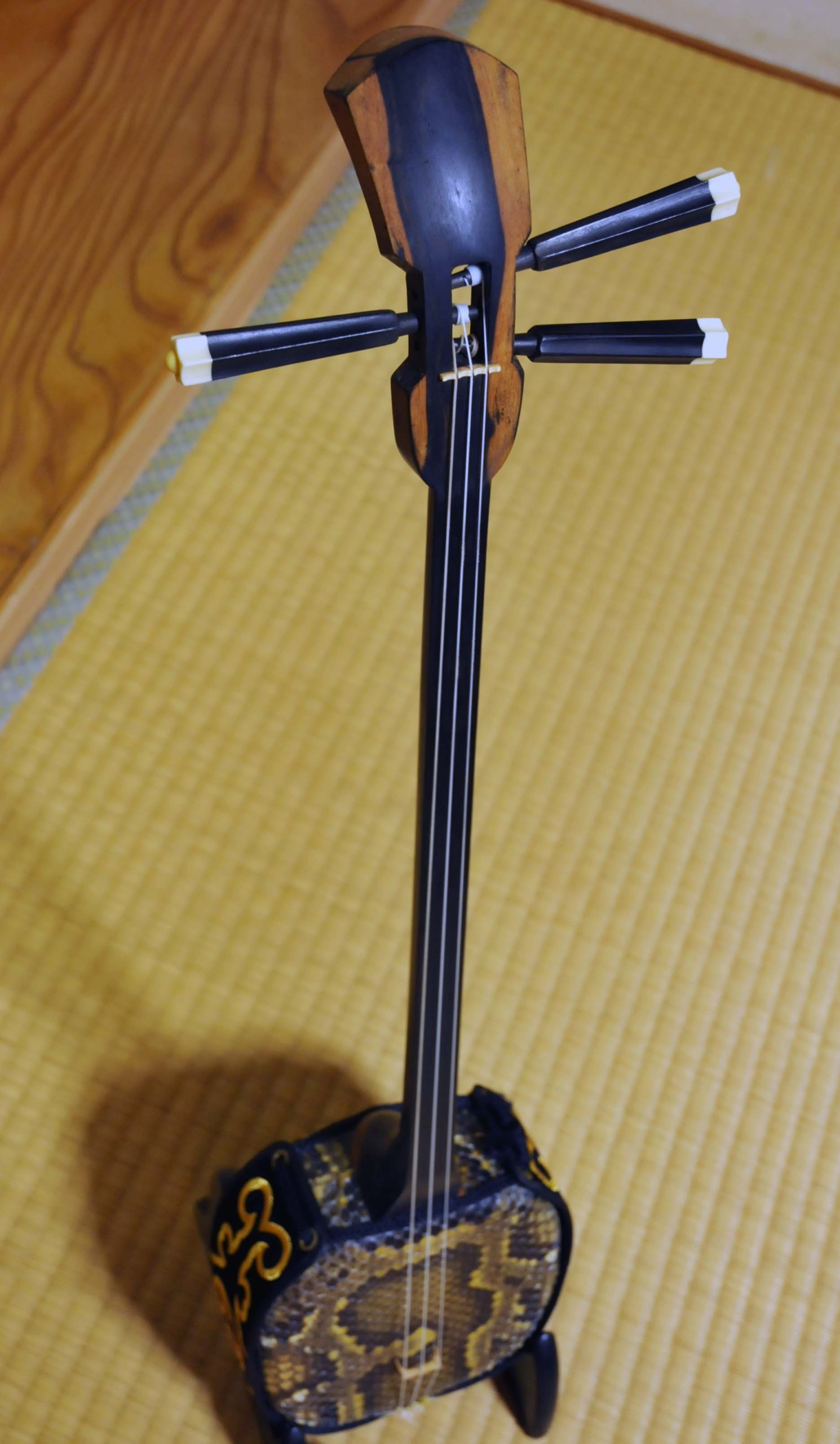 【八重山の唄者】第21回 比屋根 祐 – 【公式】音楽民族 ONGAKU MINZOKU